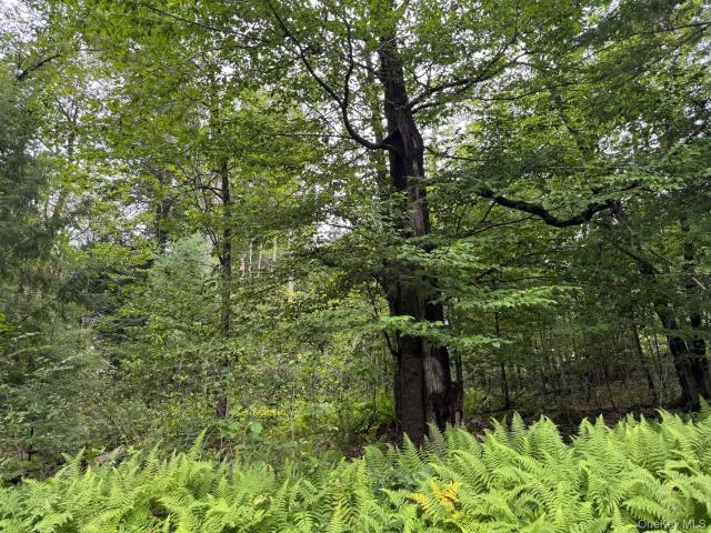0 Starlight Rd, Monticello, NY 12701 | MLS #953999