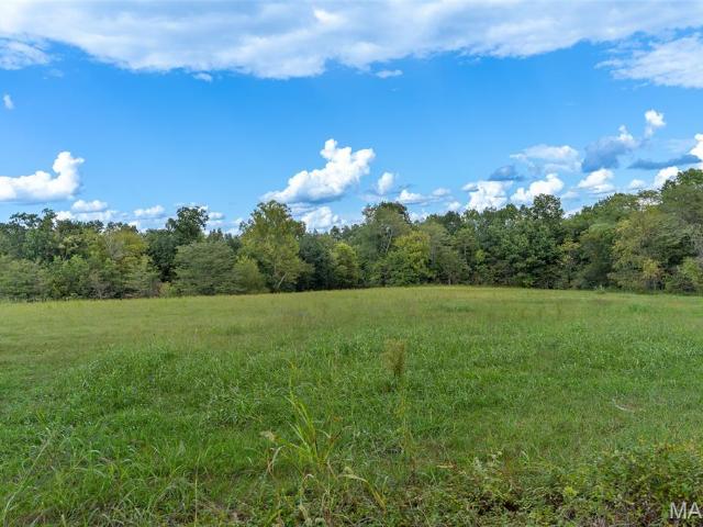 0 State Hwy E, Oak Ridge, MO 63769 | MLS #25068