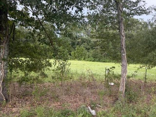 0 State Highway 103 Lot 2