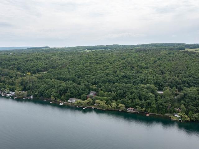 0 State Route 54, Hammondsport, NY 14840 | MLS #R1614