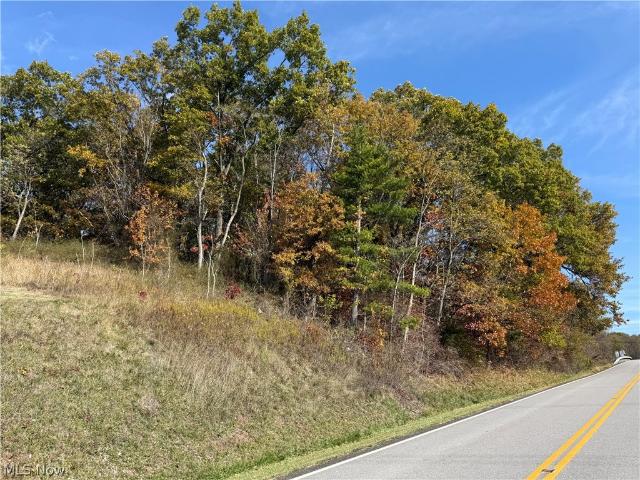 0 State Route 646