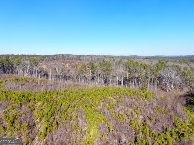 0 Steadman Rd, Tallapoosa, GA 30176 | MLS #10689