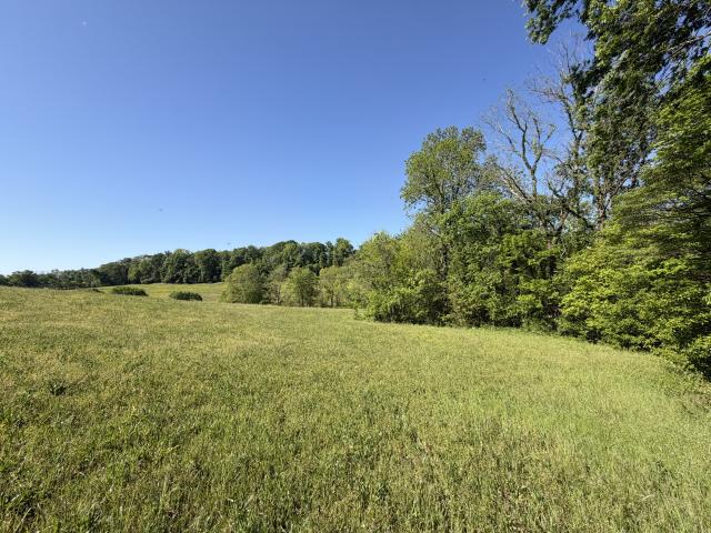 0 Steam Mill Hollow Road Tract 1