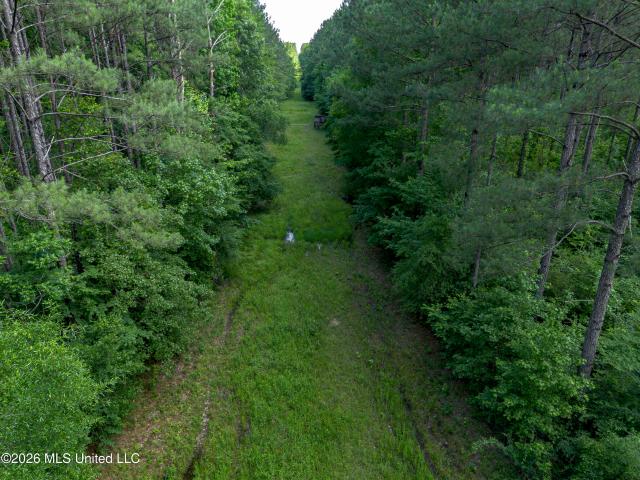 0 Steel Creek Rd, Georgetown, MS 39078 | MLS #4147