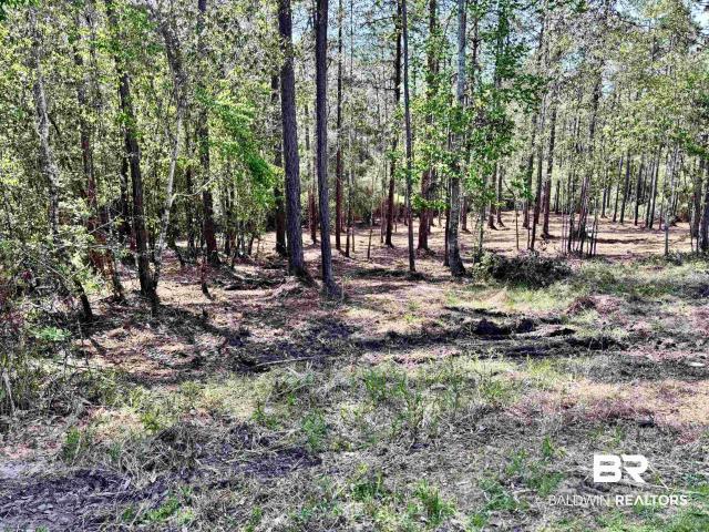 0 Steelwood Ridge Road