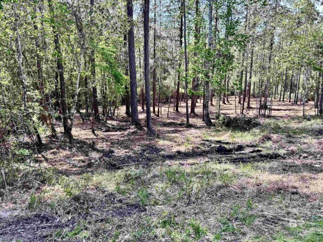 0 Steelwood Ridge Road