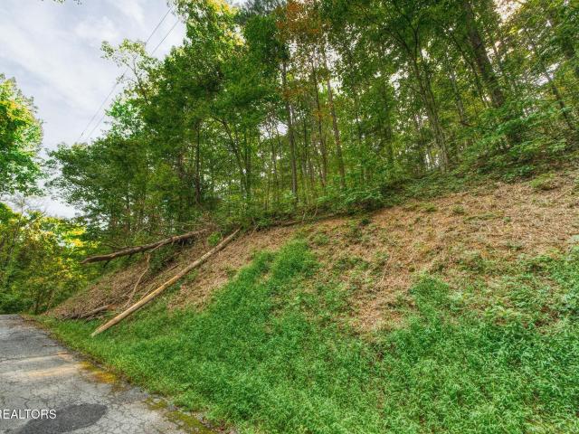 0 Stepping Stone Dr, Sevierville, TN 37862 | MLS #3123