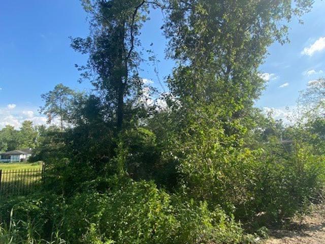 0 Sterlingshire St, Houston, TX 77078 | MLS #63190