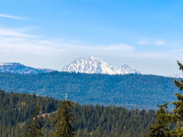 0 Stone Ridge Drive