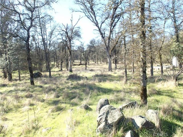 0 Stoney Oaks Blvd, Bangor, CA 95914 | MLS #OR26011