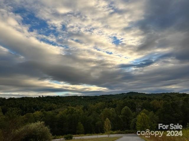 0 Stow A Way Dr, Unit 44, Nebo, NC 28761 | MLS #4150