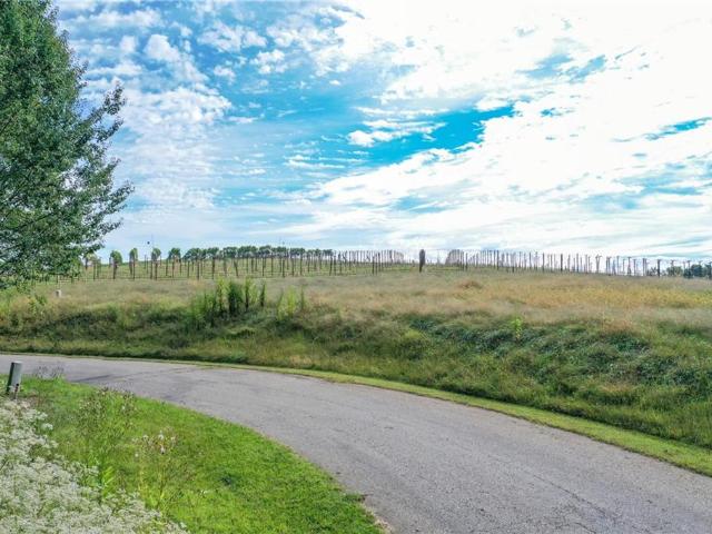 0 Strada Del Vino #10
