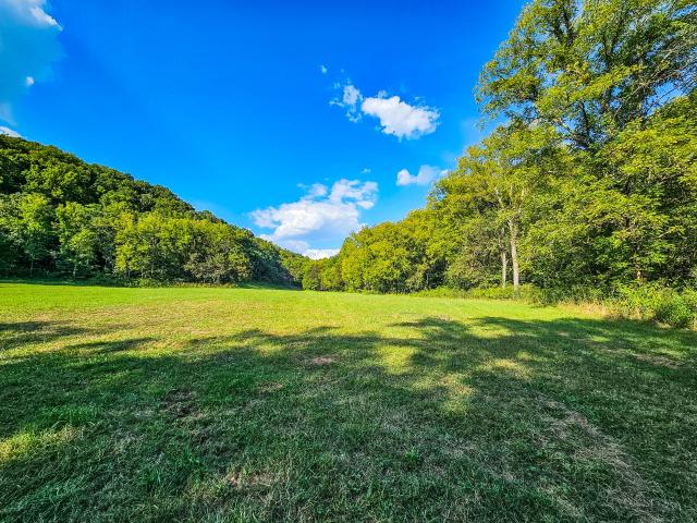 0 Straight Creek Rd, Wartrace, TN 37183 | MLS #2694