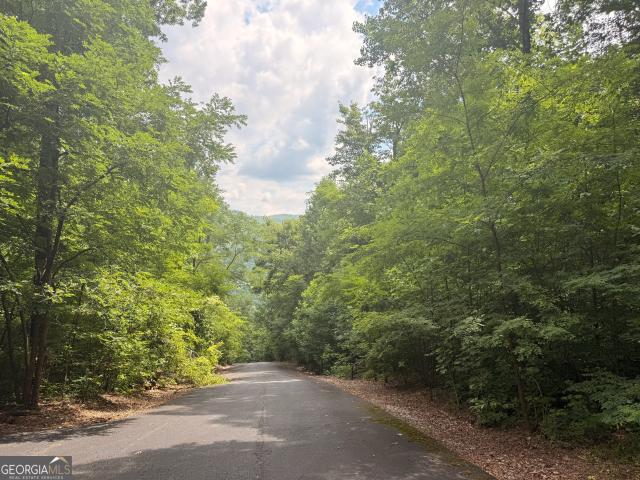0 Streets of the Overlook at Kingwood