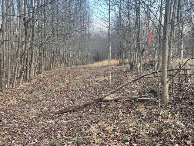 0 Sugar Tree Knob Rd