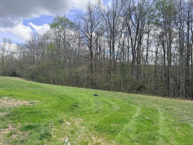 0 Sugar Tree Knob Rd, Liberty, TN 37095 | MLS #3168 | Compass