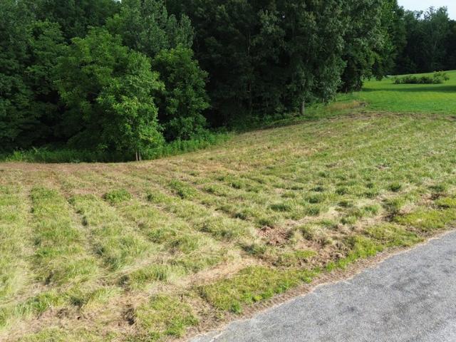0 Summer Breeze Dr Lot 12