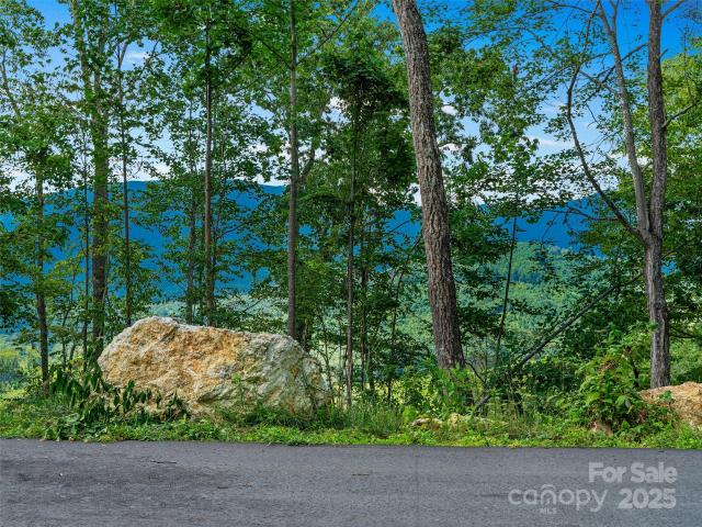 0 Summit View Parkway # 42