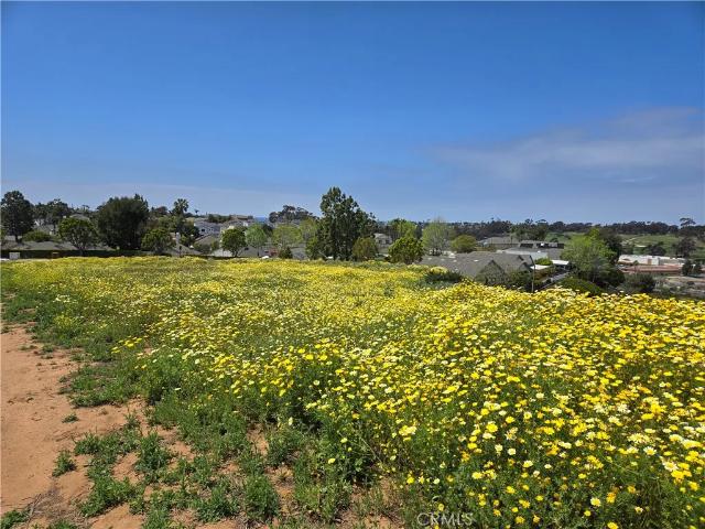 0 Sunny Creek, Carlsbad, CA 92008 | MLS #PI25230 | Compass