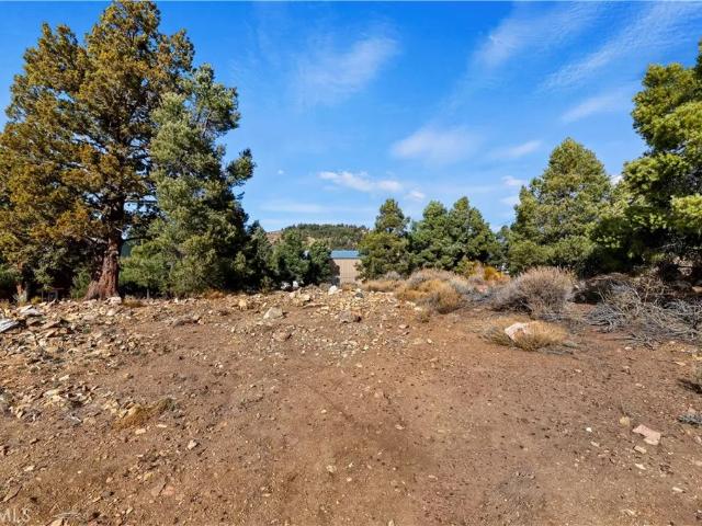 0 Sunny Slope Ln, Big Bear City, CA 92314 | MLS #IG24007