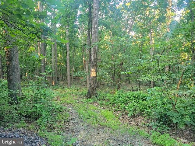 0 Sundance Mt. Rd