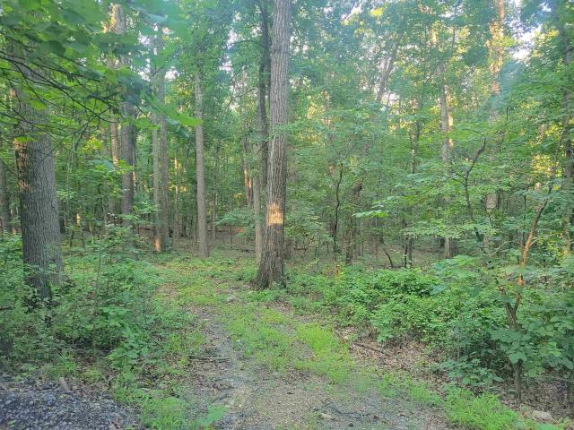 0 sundance mountain rd