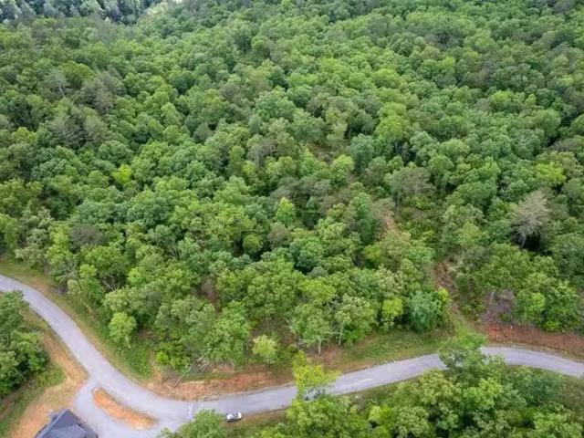 0 Sundown Trl, Ellijay, GA 30540 MLS 7444437