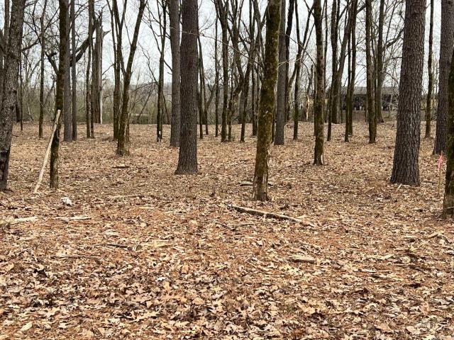 0 Sunshine lot 3R Lane