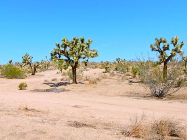 0 Sunway Dr, Yucca Valley, CA 92284 | MLS #HD26051