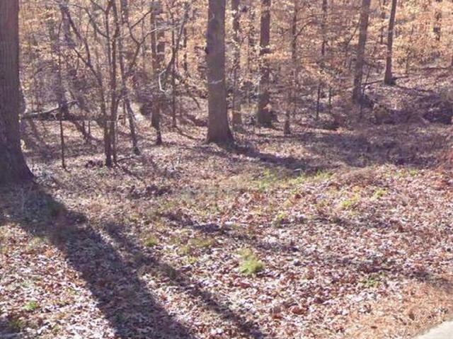 0 Sussex Ave, Sanford, NC 27330 | MLS #10153 | Compass
