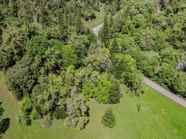 0 Sutter Creek Volcano Rd, Volcano, CA 95689 | MLS #226046