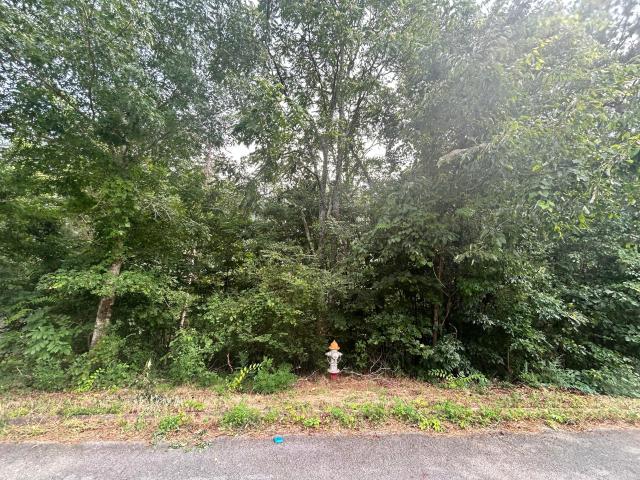 0 Sutton Dr, Unit LOT 6, Ringgold, GA 30736 | MLS #1515 | Compass