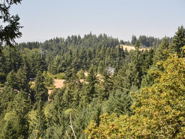 0 SW Mountain Rd, West Linn, OR 97068 | MLS #471667 | Compass