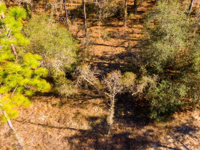 0 SW Commodore Rd, Dunnellon, FL 34431 | MLS #R11161