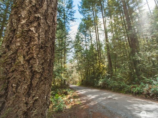 0 SW County Line Road