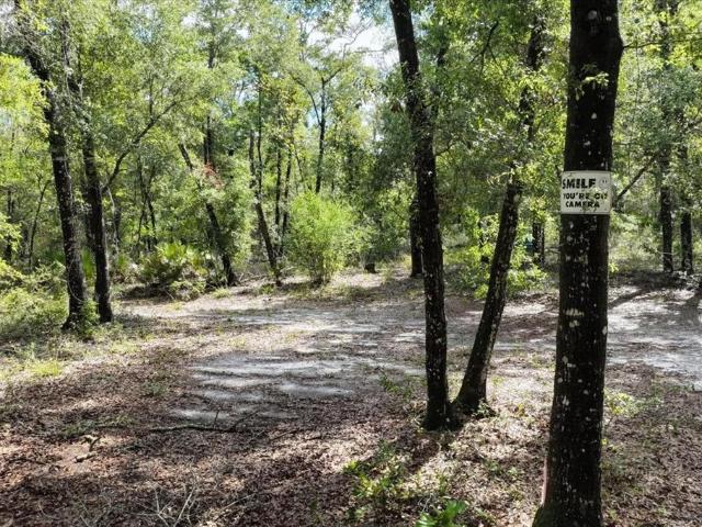 0 SW County Road 347, Cedar Key, FL 32625 | MLS #OM705766
