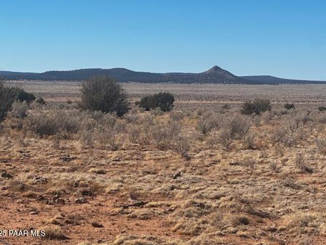 0 SW Double Back Dr, Seligman, AZ 86337 | MLS #1081