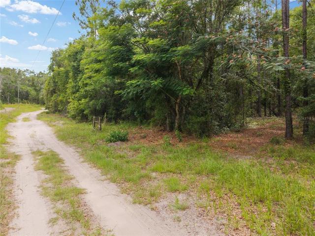 0 SW 234th St, Archer, FL 32618 | MLS #GC537006