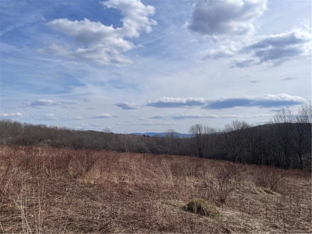 0 Swantak Rd, Bloomville, NY 13739 | MLS #R1668