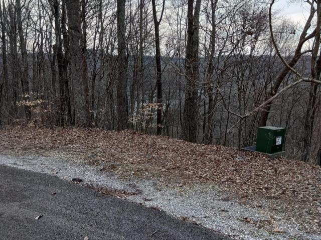 0 Swiper Dr, Smithville, TN 37166 | MLS #3015
