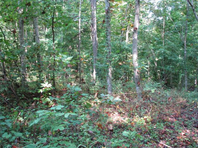 0 Sycamore Landing Rd