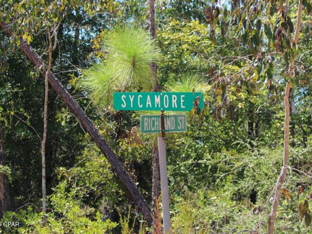 0 Sycamore St, Alford, FL 32420 | MLS #778410