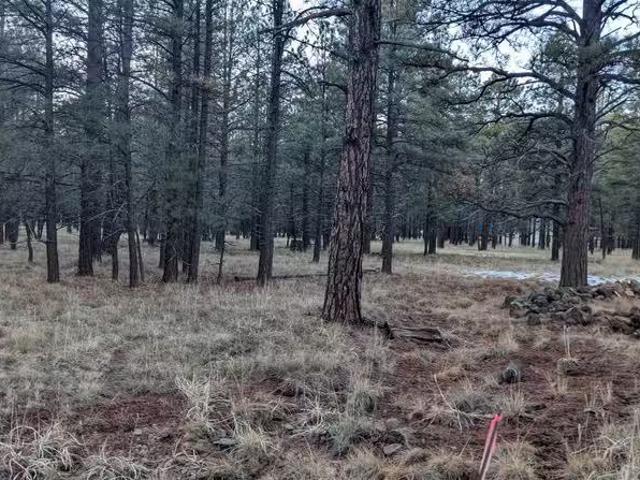 0 S Golden Meadow Trail, Williams, AZ 86046 MLS 1061626