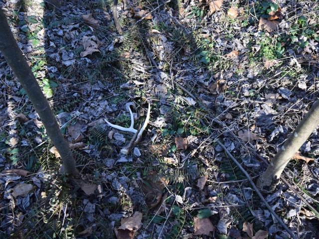 0 S Harts Gravel Road