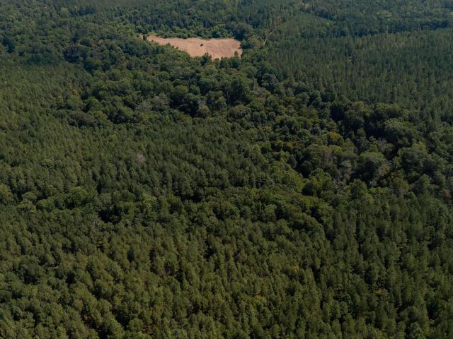 0 S Highway 221
