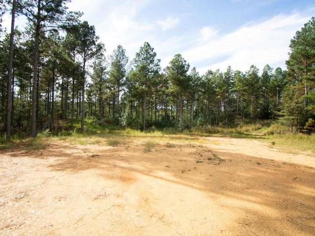 0 S Highway 225 S, Chatsworth, GA 30705 | MLS #7662 | Compass