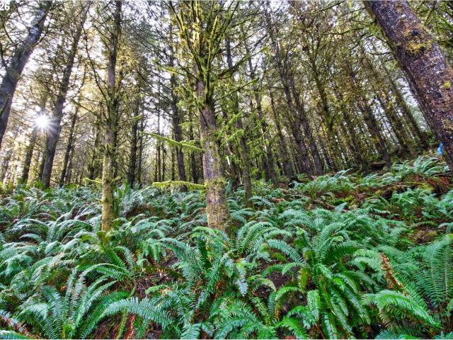 0 S Hwy 42