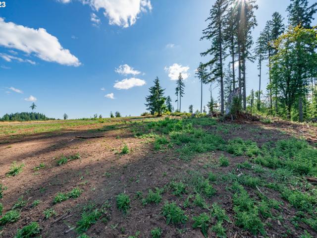 0 S Silver Lake Rd, Unit 1, Castle Rock, WA 98611 | MLS #23501