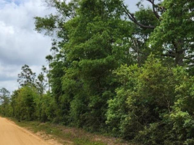 0 S Silver Lake Rd, Youngstown, FL 32466 | MLS #786423