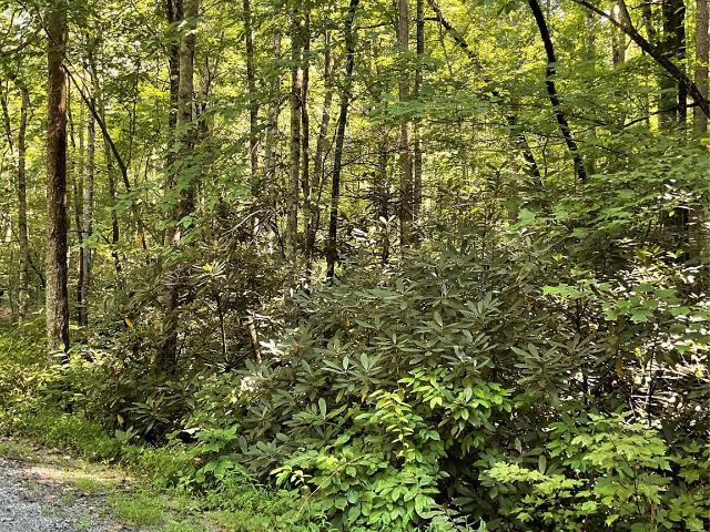 0 S Poplar Dr Lake, Unit 162, Lake Lure, NC 28746 | MLS #4292 | Compass